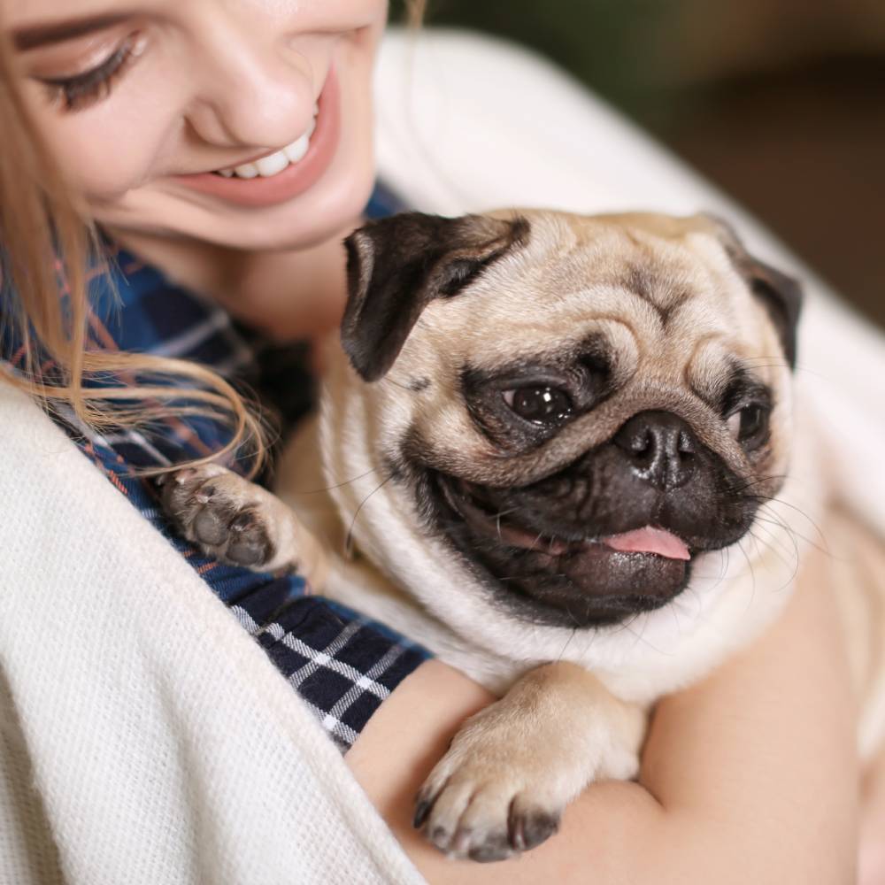 Łagodne rasy psów – TOP 5 spokojnych ras - Apetete