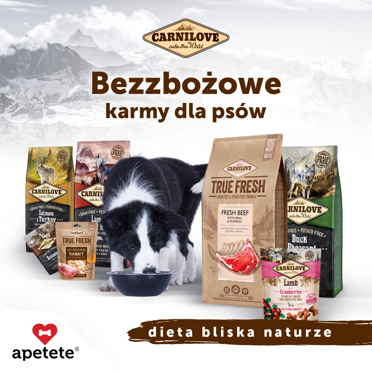 Pies niejadek? Poznaj nasze sprawdzone sposoby na wybrednego psa ...