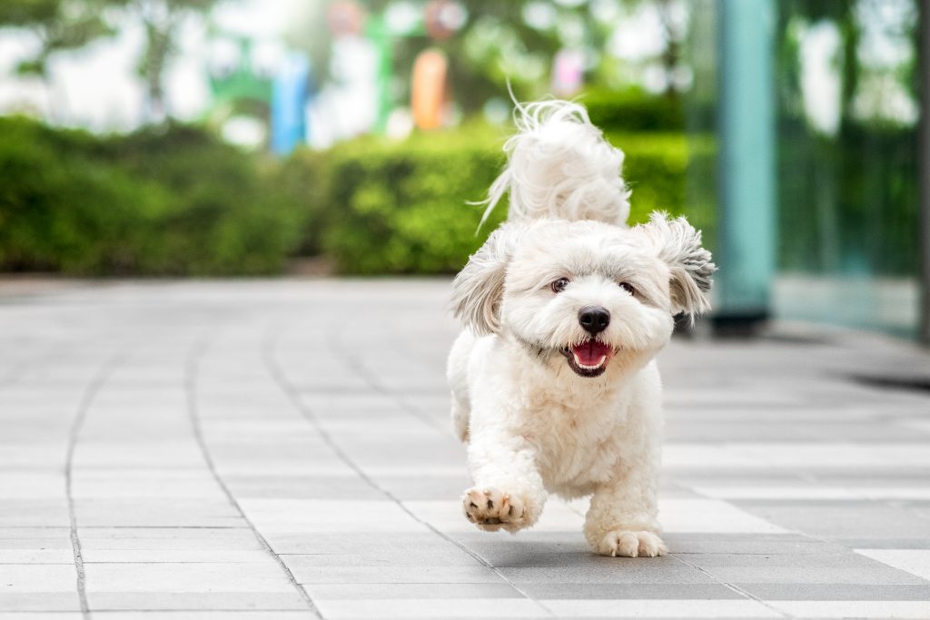 Suplementy jako element zdrowego żywienia | blog sklepu apetete